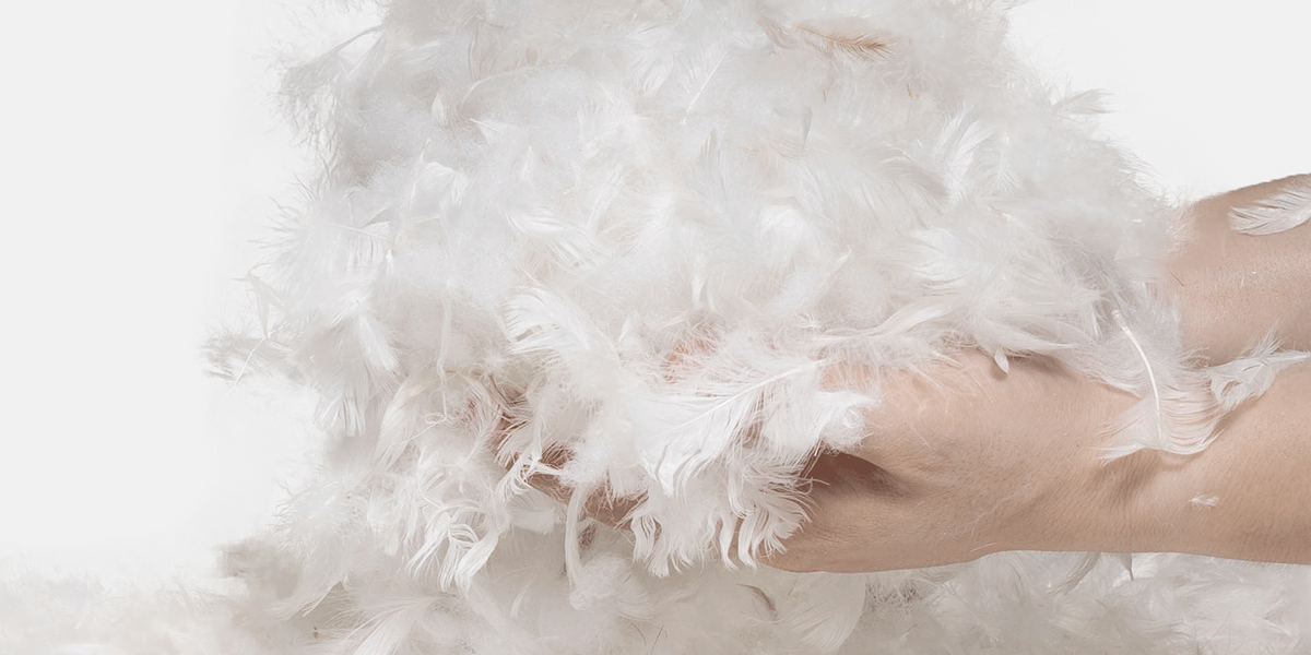 Guide to Down Feather Comforters: Size and Filling Weight — Bafode